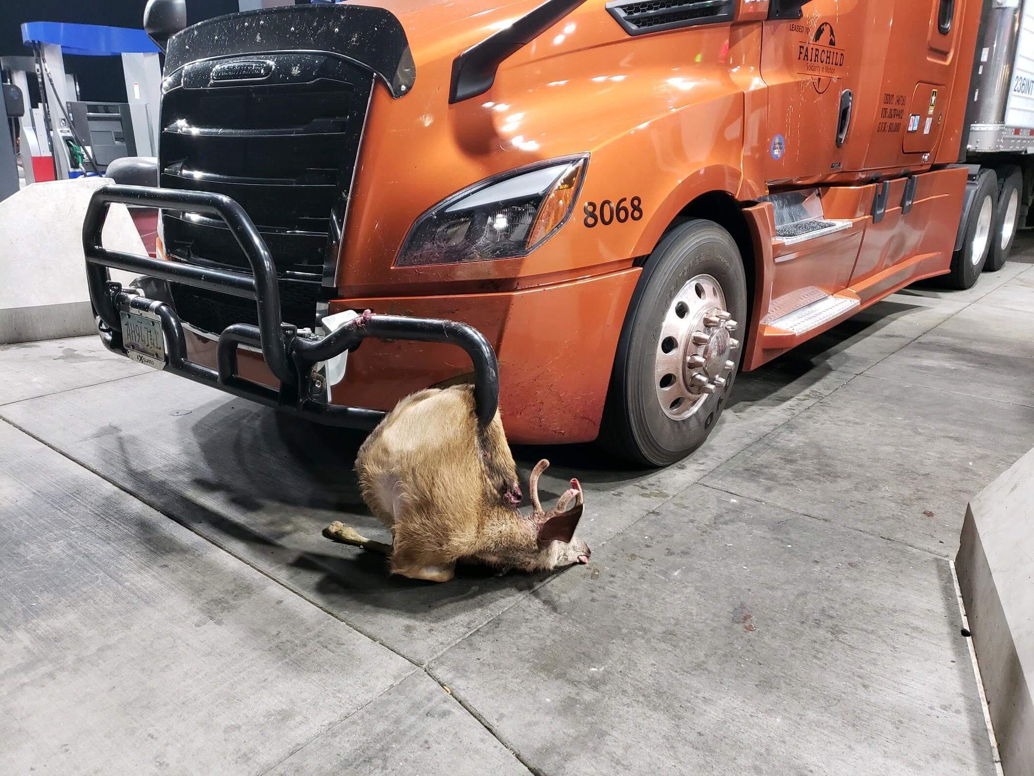 XG-125 Saved this New Gen Cascadia